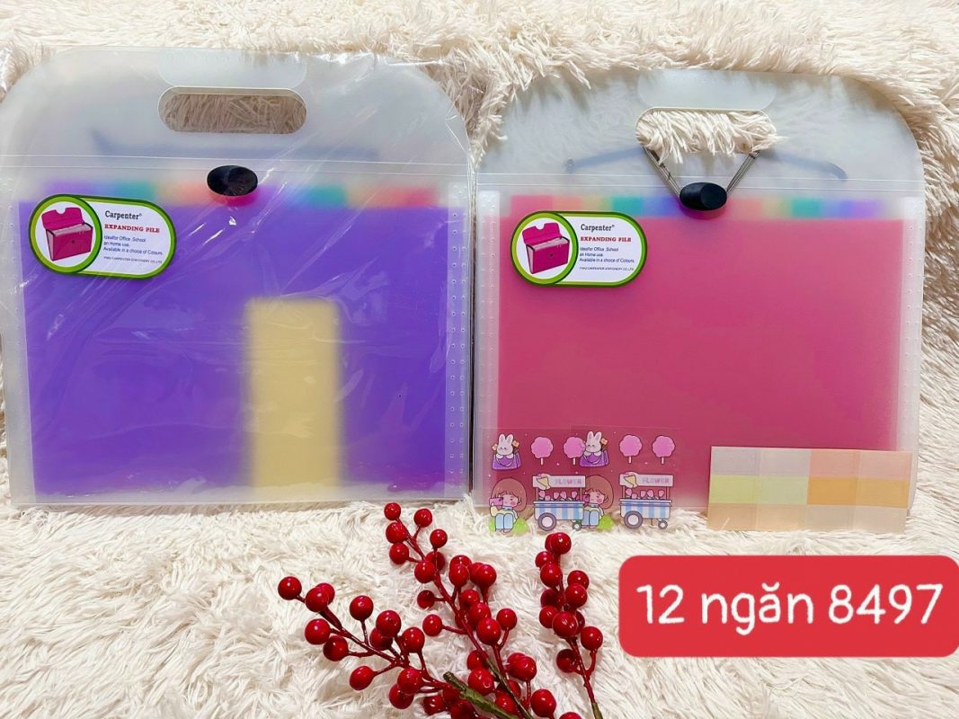 CẶP NHỰA 12 NGĂN - 8497 KING - Nhà phân phối Kim Lợi